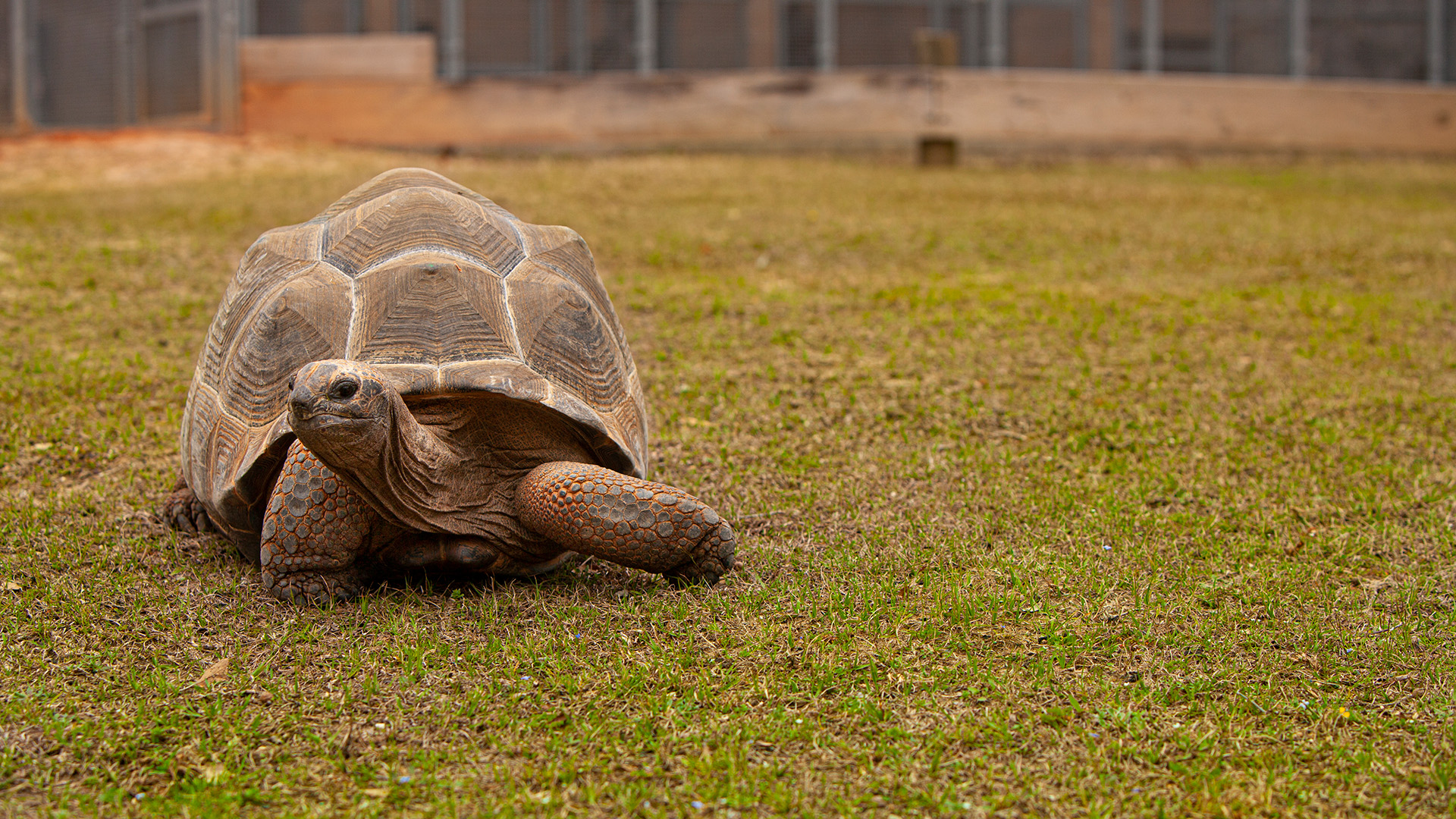 Animal Encounters – CaldwellZoo