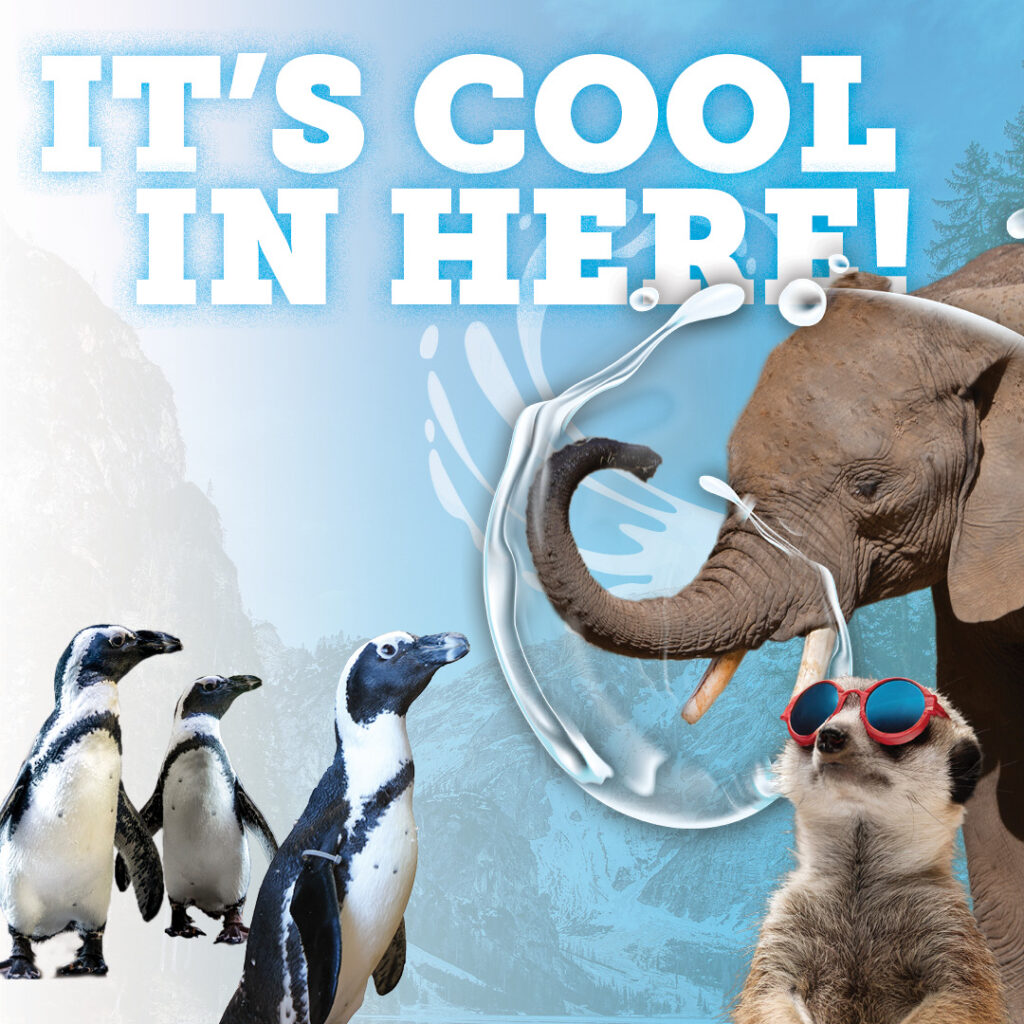 CaldwellZoo – For Animals. Forever.